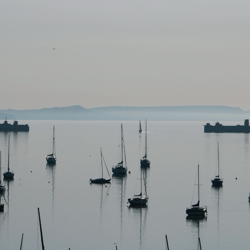 Portland Pile Gates - MintMech